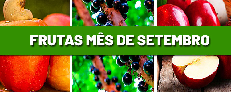Sabores de Setembro: Frutas Sazonais que Você Precisa Provar – Vitta ...